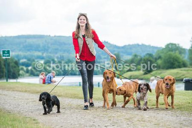 31007127-Photographer Ian Georgeson, 07921 567360 The Scottish Game ...