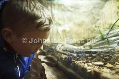 29773241-Picture Toby Williams 07920841392. Five Sisters Zoo, West Caulder, which has just ...