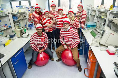 26812993-Photograph by Ian Georgeson, Heart scientists paint the lab ...