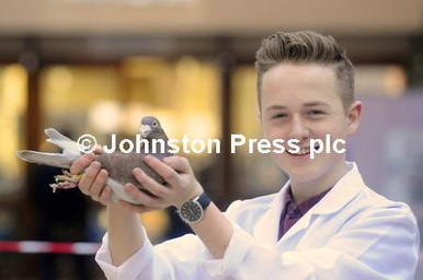 37330674-The Royal Pigeon Racing Association host the British Homing ...