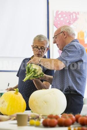 39549357-Mirfield Allotment show at Mirfield Community Centre. Judges ...