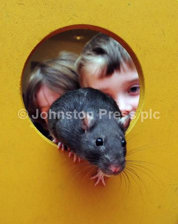 24333826-27 04 2013, TSPL, Scotsman, SOS, Evening News, Scottish Rat ...