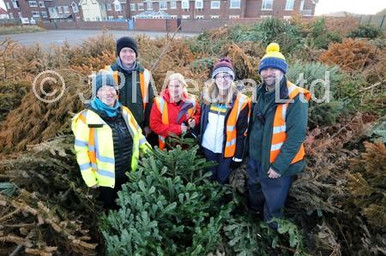 38519314-Old Christmas trees are being buried on St Annes beach to ...
