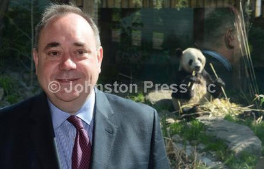 24669711-Edinburgh Zoo Scotland s First Minister Alex Salmond beside ...