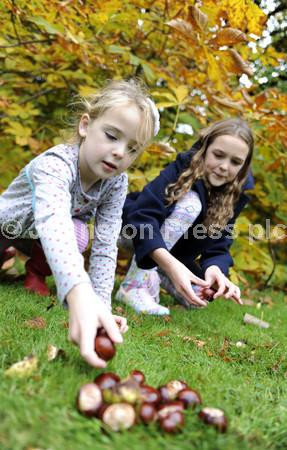 26027321-PIC PHIL WILKINSON. TSPL JOHNSTON PRESS LILLY 6 AND DAISY 9 ...