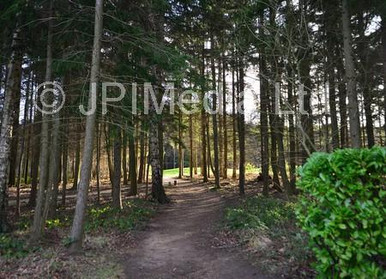 39344816-The golf course at Wynyard. Picture by FRANK REID - National ...