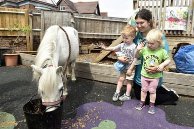 39800467-Rainbow Corner Nursery in Southsea, are celebrating their 40th ...