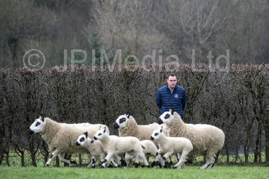 39342003-Chris Adamson, Whitfield Farm, Littleborough. Pictured with a ...