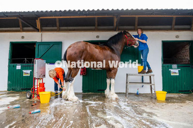 39823154-Great Yorkshire Show 2023, GYS-Day3. Pictured Carolyn Noble ...