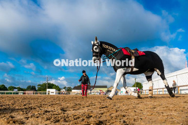 39823147-Great Yorkshire Show 2023, GYS-Day3. Pictured Bobbi Cox, aged ...