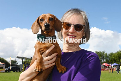 39838144-BLACKPOOL - 06-08-23 A dog festival held at Fairhaven Lake and ...