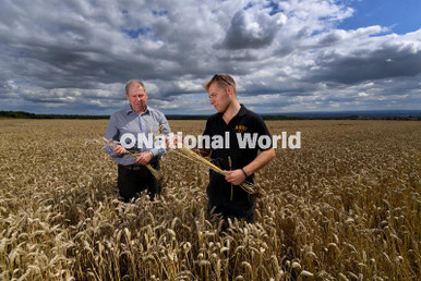 39838678-David Teasdale with his son Jamie in a field of wheat at ...