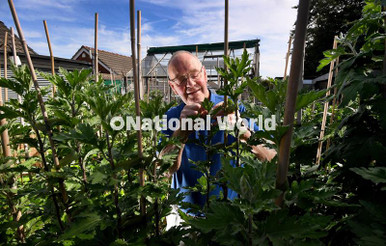 39851862-Brian Sidebottom from the Spen Valley Panton and Chrysanthemum ...