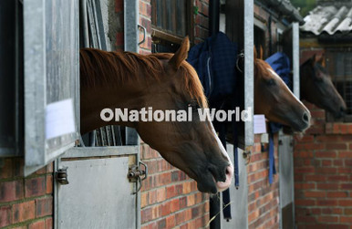 39852200-Horse trainer Adrian Keatley at Wold House Stablesin Norton ...