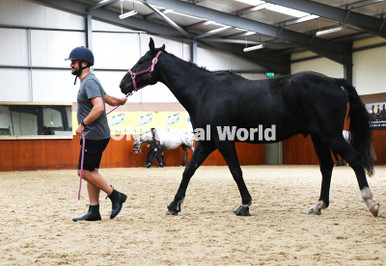 39861902-WIGAN - 14-09-23 Staff and visitors at the My Life Legacy open ...