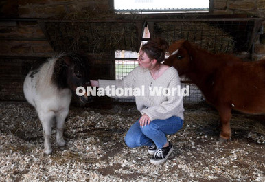39866407-Feature on Lineham Farm, Eccup which is celebrating 30 years ...