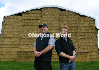 39866529-Peter Caley and his father John grow grass for horse hay on ...