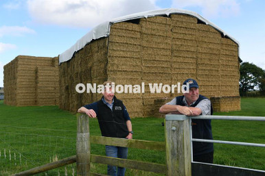 39866528-Peter Caley and his father John grow grass for horse hay on ...