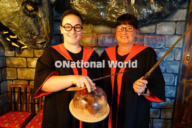 39869314-Wizards Den - Harry Potter inspired Bistro serving coffee ...