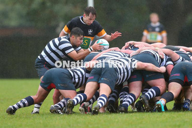 39879669-Scrum-half Jack Phillips puts into the Havant scrum as his ...