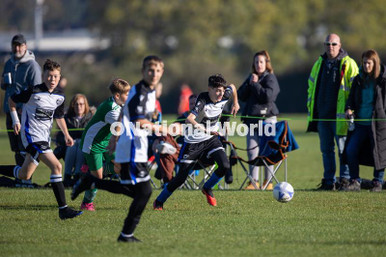 39880040-Fleur De Lys U14's (White) V Moneyfields U14's (Green) in the ...