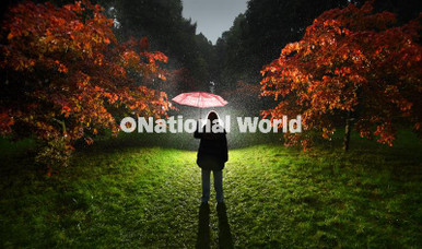 39881832-Emma Dugdale looks at the autumn colours in the heavy rain at ...