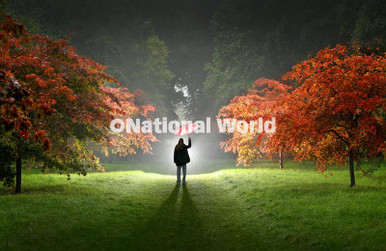 39881831-Emma Dugdale looks at the autumn colours in the heavy rain at ...