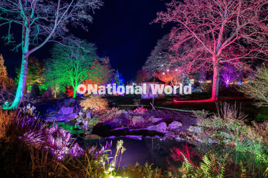 39896416-Glow 2023 at RHS Harlow Carr, Harrogate, creates a magical ...