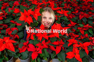 39902581-Clare Sharp, (correct), owner and business partner of O'Briens ...