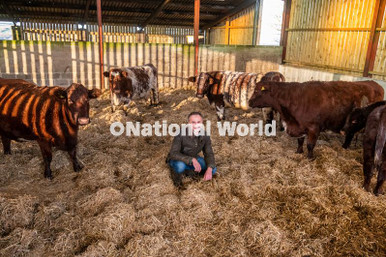39905585-Farmer Andrew Loftus, has just been appointed to chair of the ...