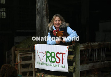 39906573-Lyn Arrowsmith at Raskelf Rare & Heritage Breeds, Raskelf ...