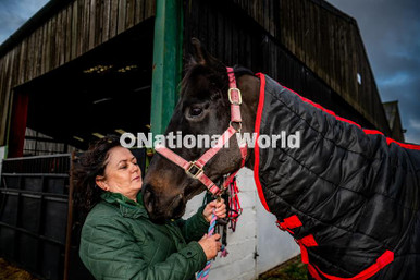 39906770-CountryPost - Kevin & Pam Atkinson owners of New Beginnings ...