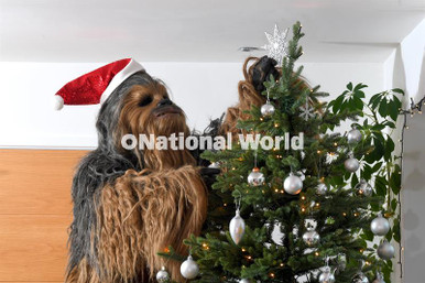 39908186-Celebrating Christmas with Chewbacca and Chewie Jnr. No need ...