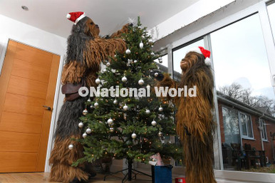 39908185-Celebrating Christmas with Chewbacca and Chewie Jnr. No need ...