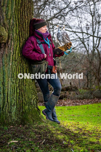 39910119-Staff at the National Centre for Birds of Prey (NCBP) Duncombe ...