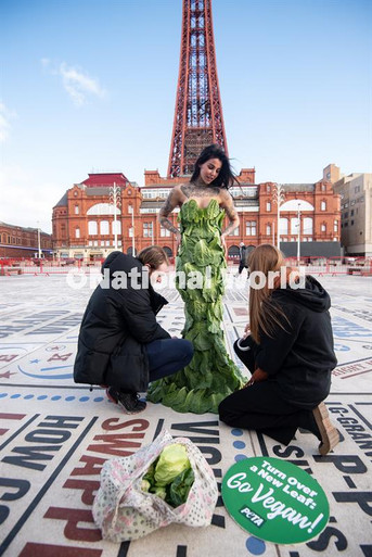 39915446-Rayner Croft from PETA on the Comedy Carpet in Blackpool ...