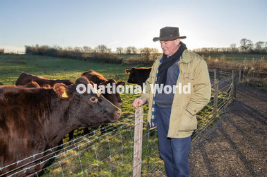 39918826-Farm owner Jimmy Dickinson with the herd of Red Polls at Tyers ...