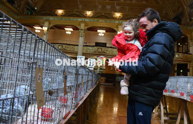 39919992-BLACKPOOL - 20-01-24 Pigeon fanciers flocked to The British ...