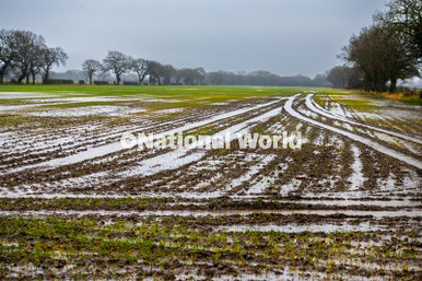 39922906-CountryPost - Andrew Sewell, of South Ross Farm, Ellerton near ...