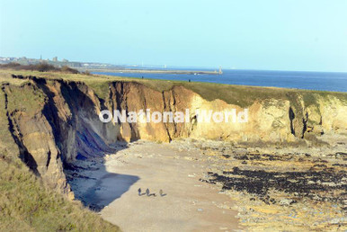 39923347-Cliff landslide at Marsden Bay. NEP-240130-120019001 NEP ...