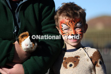 39928606-Half tern farm visiting Fort Nelson in Portsmouth, Hampshire ...