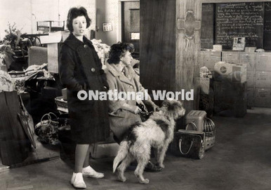 39928748-Misery of the homeless - Mrs E Hallam, of Errington Avenue ...