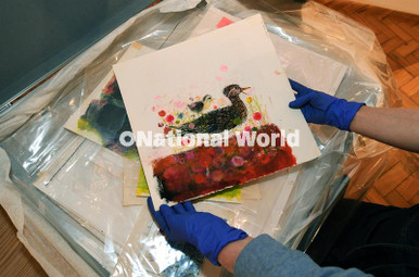 39951396-Paws, Claws, Tales & Roars: The Art of Brian Wildsmith at the ...