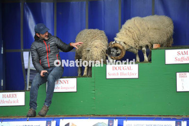 39956964-Spring Live Show at the South of England Showground near ...