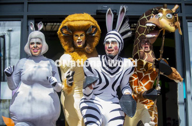 39958472-PIC LISA FERGUSON 25/07/2024 Madagascar at Edinburgh Playhouse ...