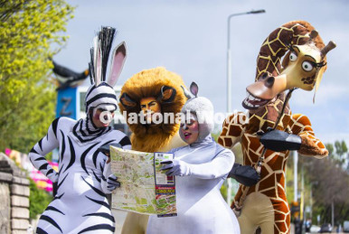 39958458-PIC LISA FERGUSON 25/07/2024 Madagascar at Edinburgh Playhouse ...