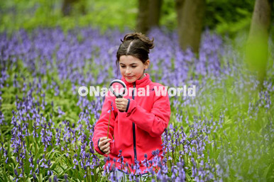 39958869-John Devlin 26/04/2024. GLASGOW. Robyn Devlin 10 studies the ...