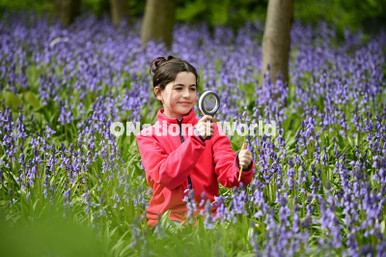 39958883-John Devlin 26/04/2024. GLASGOW. Robyn Devlin 10 studies the ...