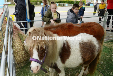 39958990-Children met an array of animals when Ian's Mobile Farm ...