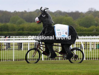 39960030-Lee Bilbrough and Jonathan Binney AKA Panto Pony at the ...